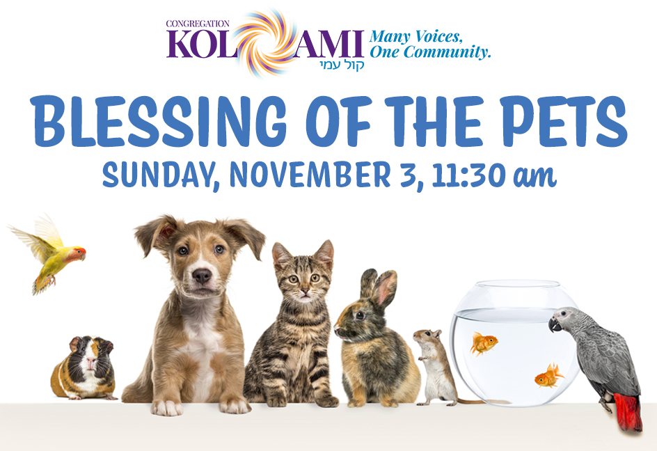Blessing of the Pets - Congregation Kol Ami